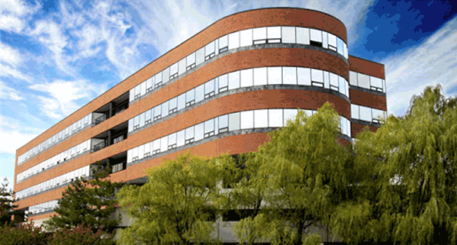 Contact | Boston Prolotherapy and Orthopedics